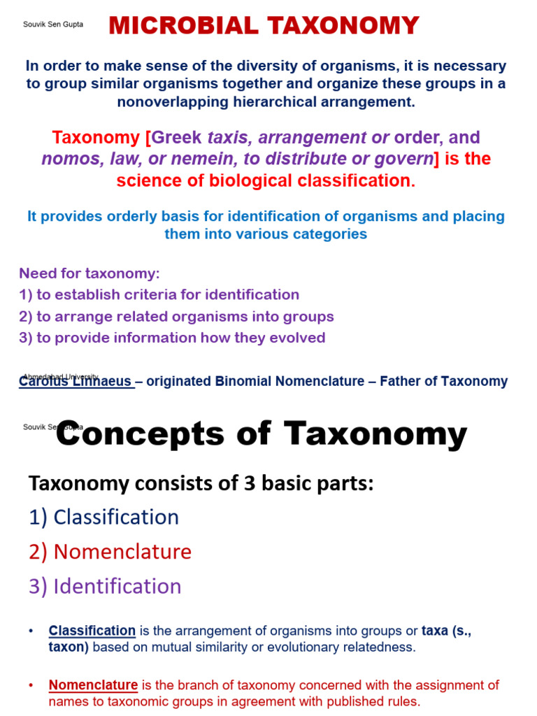 Microbial Taxonomy and Classification | PDF | Archaea | Bacteria