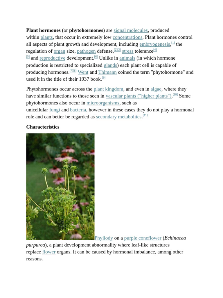 Plant Hormones | PDF