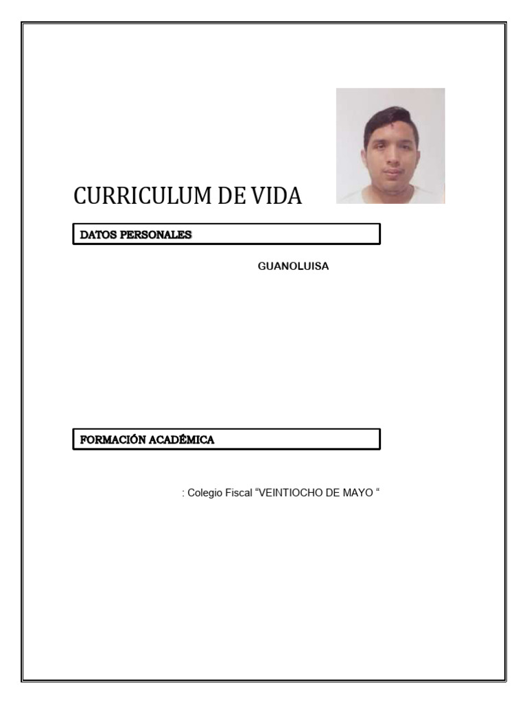 Hoja de Vida Luis Centeno | PDF