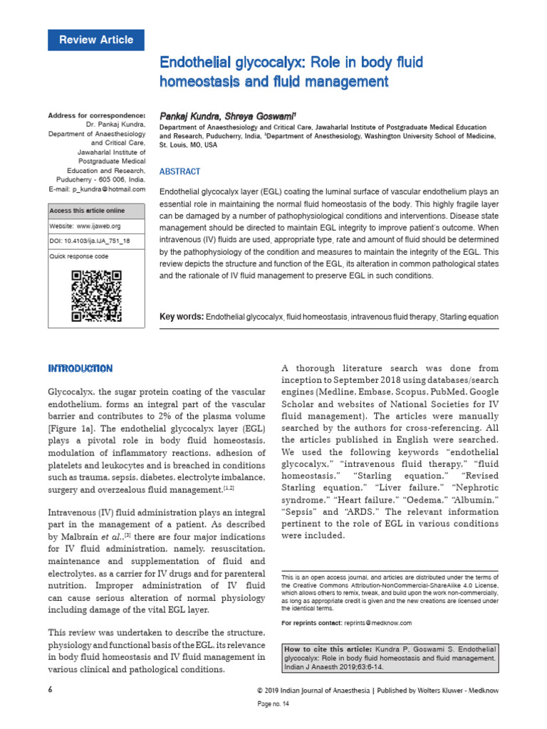 Endothelial Glycocalyx: Role in Body Fluid Homeostasis and Fluid ...