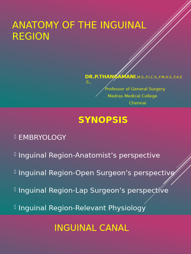 Inguinal Bursa and Canal Anatomy | PDF | Musculoskeletal System | Human ...
