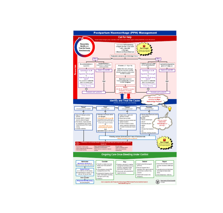 PPH Management SA Health | PDF | Clinical Medicine | Human Reproduction