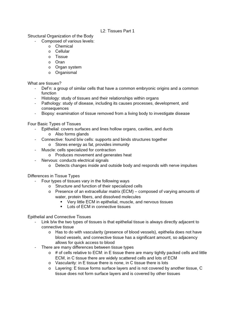 L2 - Tissues Pt1 | PDF | Epithelium | Tissue (Biology)