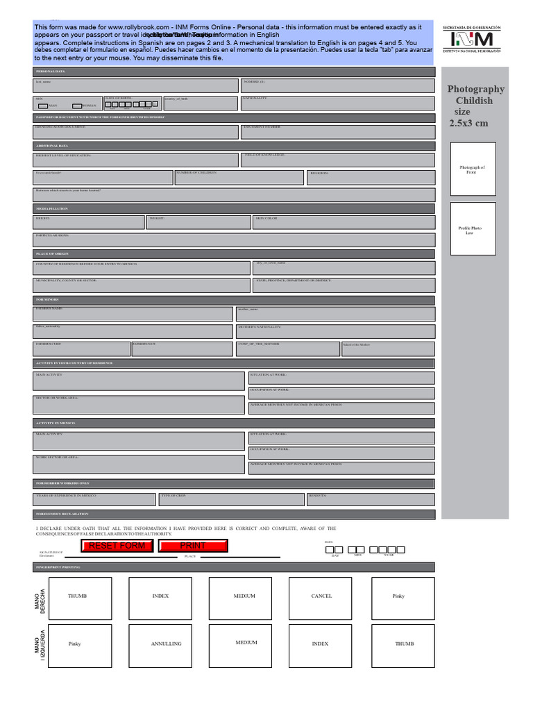 Personal Data Form for Immigration | PDF | Identity Document | Mexico