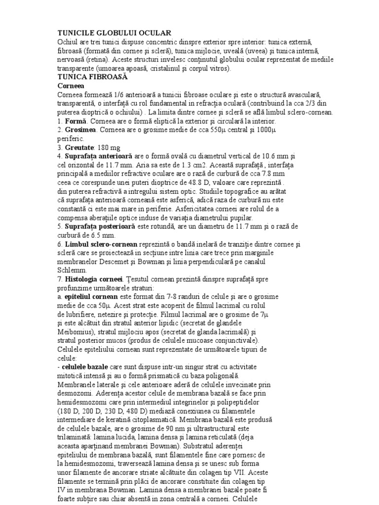 Globul Ocular | PDF