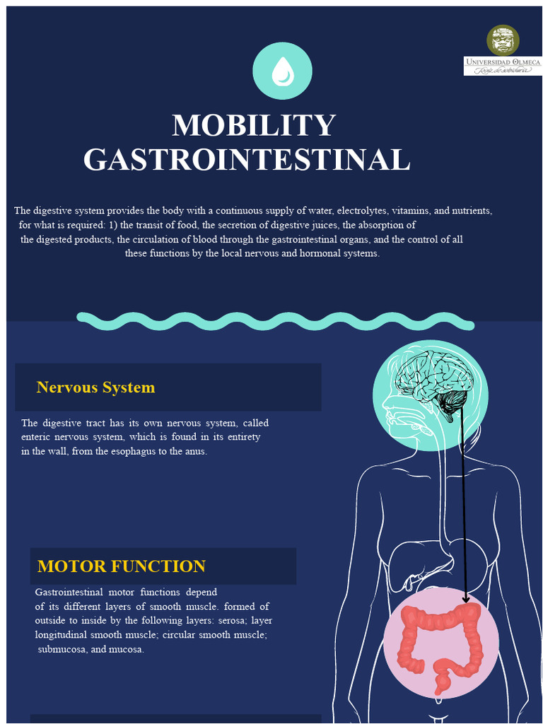 Understanding Gastrointestinal Mobility | PDF