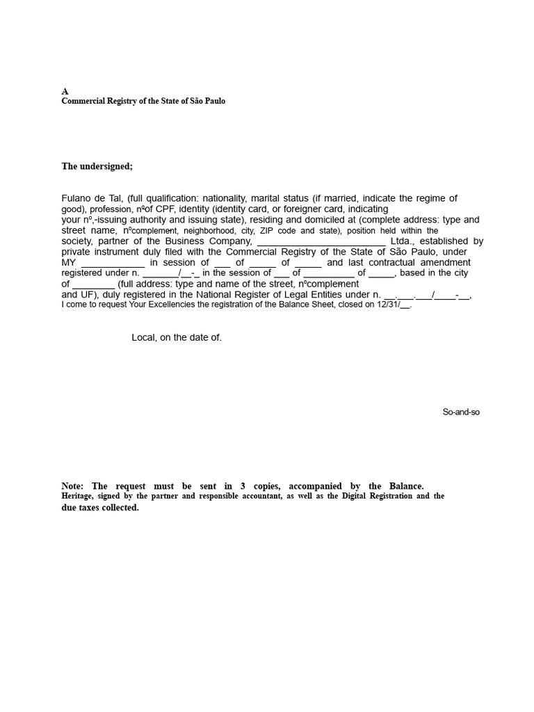 Balance Sheet Filing Model | PDF