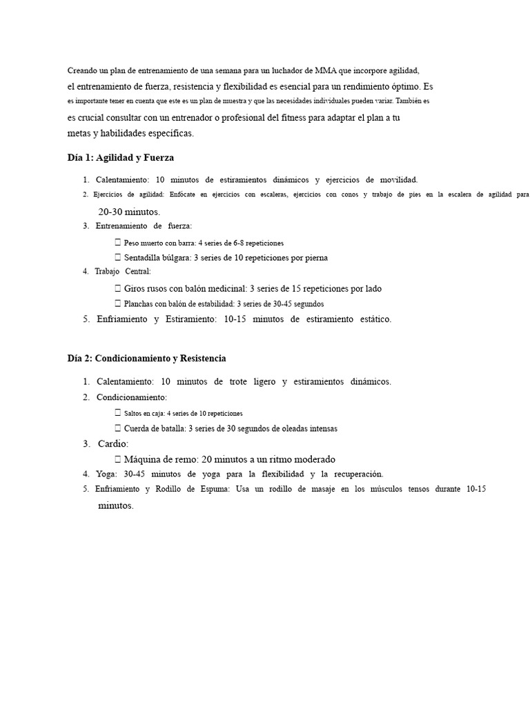 Plan de Entrenamiento Semanal para MMA | PDF | Flexibilidad (anatomía ...