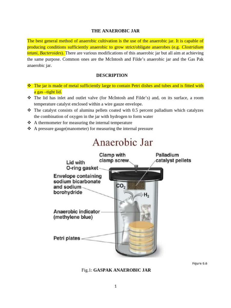 Anaerobic Jars | PDF | Hydrogen | Gases