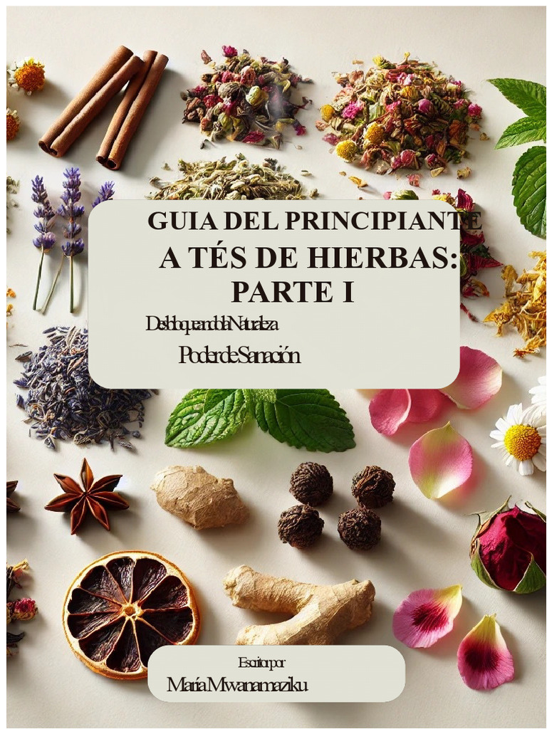 Guía para Principiantes Sobre Tés de Hierbas | PDF | Té