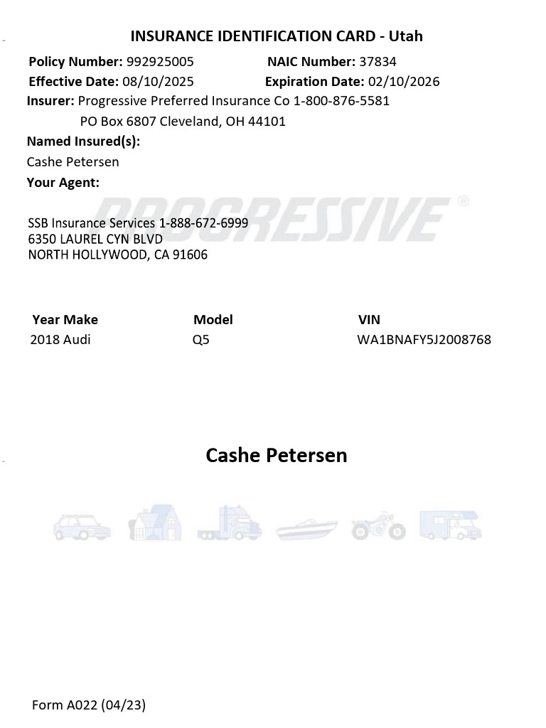 P GR Insurance Id Card Auto | PDF