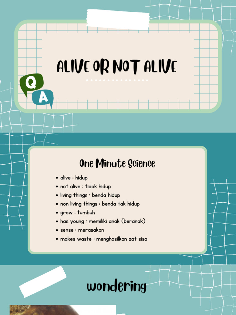 Alive or Not Alive | PDF