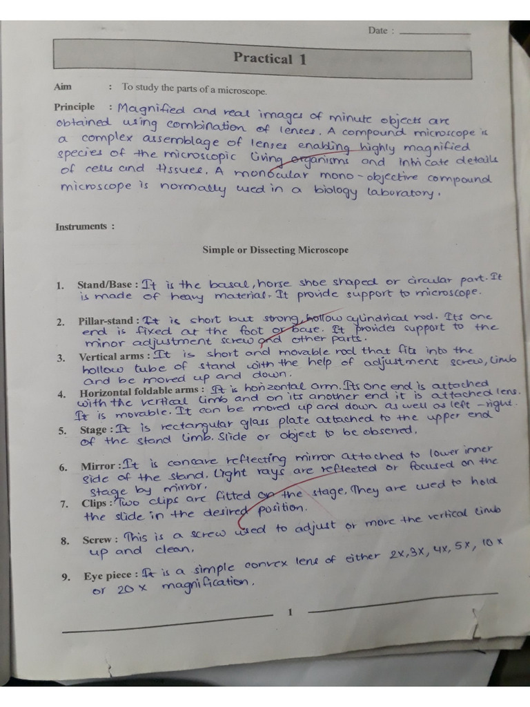 11th Biology Practical 1-34 | PDF
