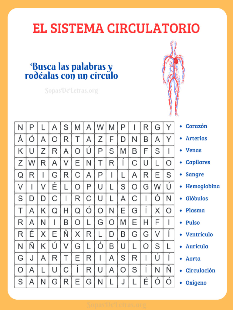 Sopa de Letras Sobre El Sistema Circulatorio para Ninos de Quinto Grado ...