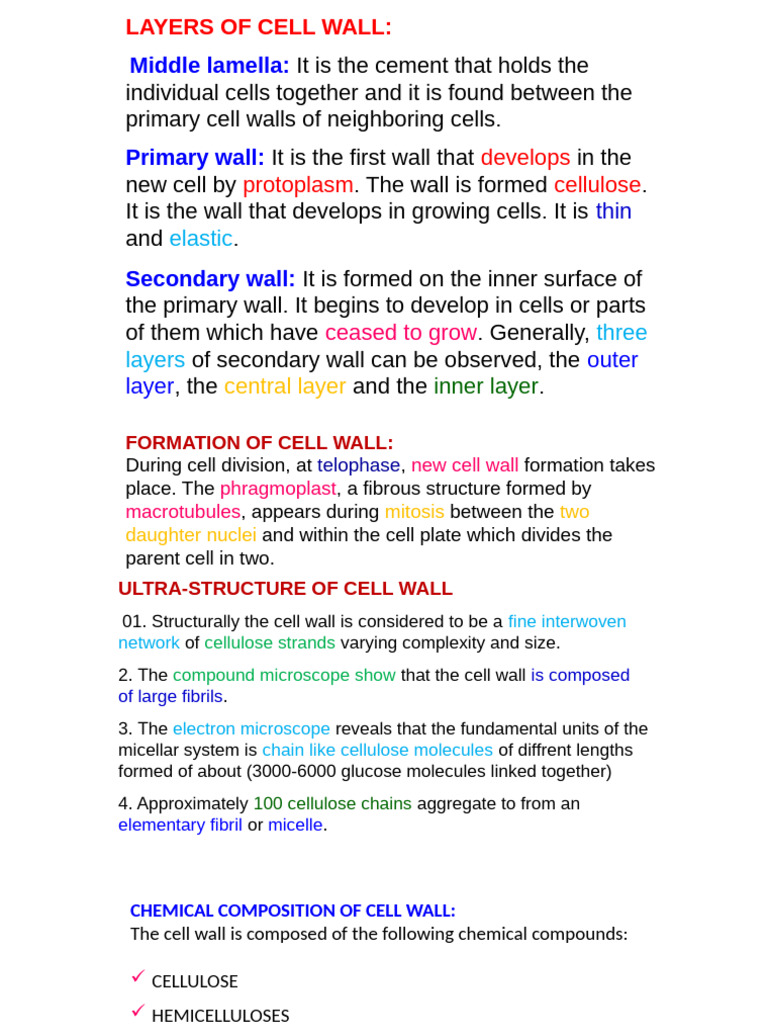 Cell Wall Structure and Composition | PDF | Cell Wall | Biology