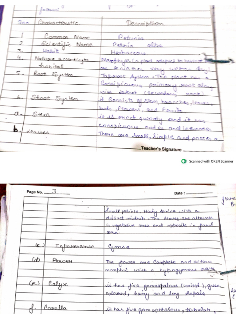 Class 11th Biology | PDF
