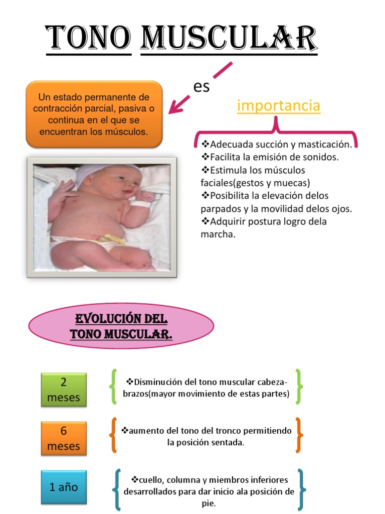 Tono Muscular | PDF | Salud y bienestar