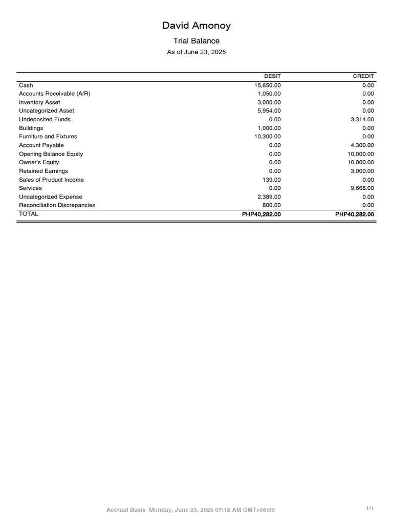 Trial Balance Report - June 2025 | PDF