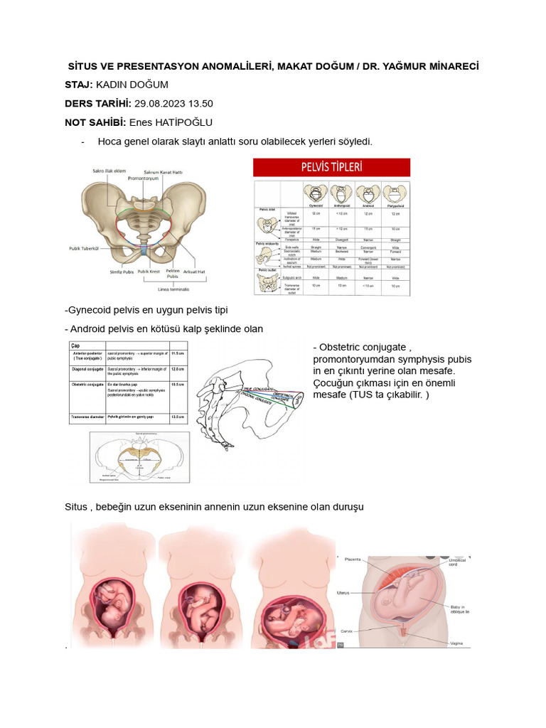 2023.08.29 13.50 Situs Ve Presentasyon Anomalileri, Makat Doğum | PDF