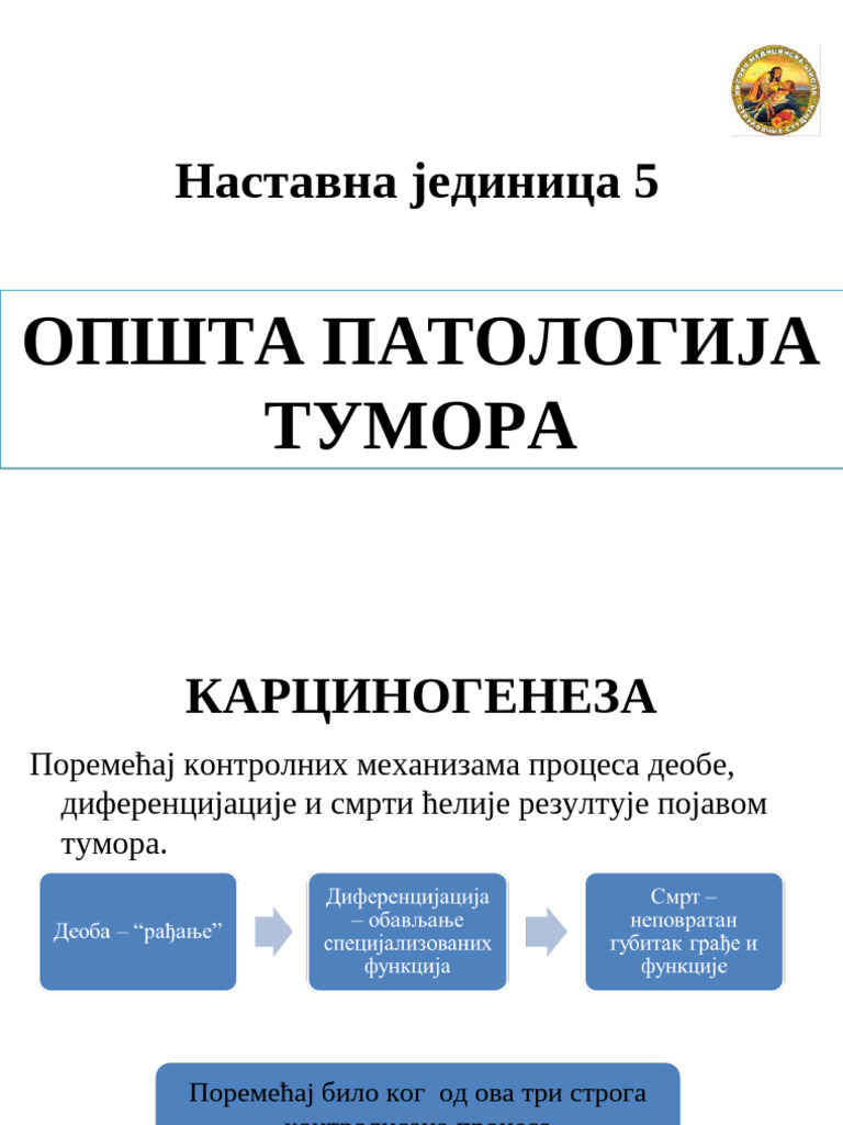 V Nedelja Predavanja | PDF