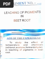 Why Beetroot is Red: Betalains Explained | PDF | Cell Membrane | Biophysics