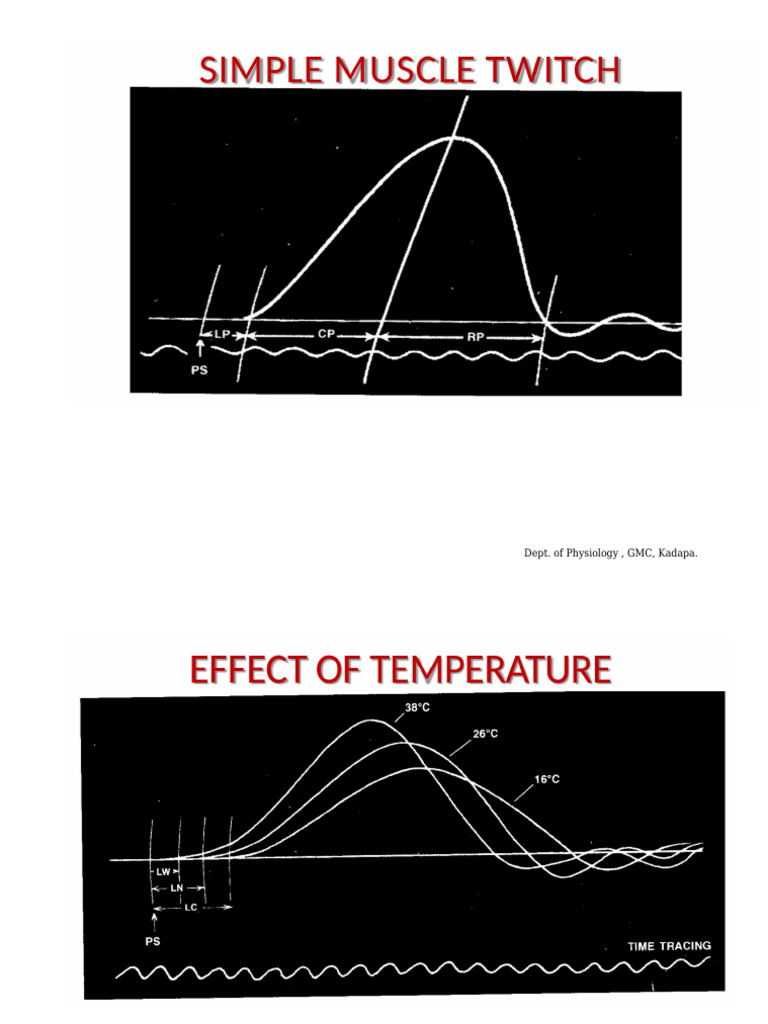 Amphibian Graphs - 5 Marks | PDF