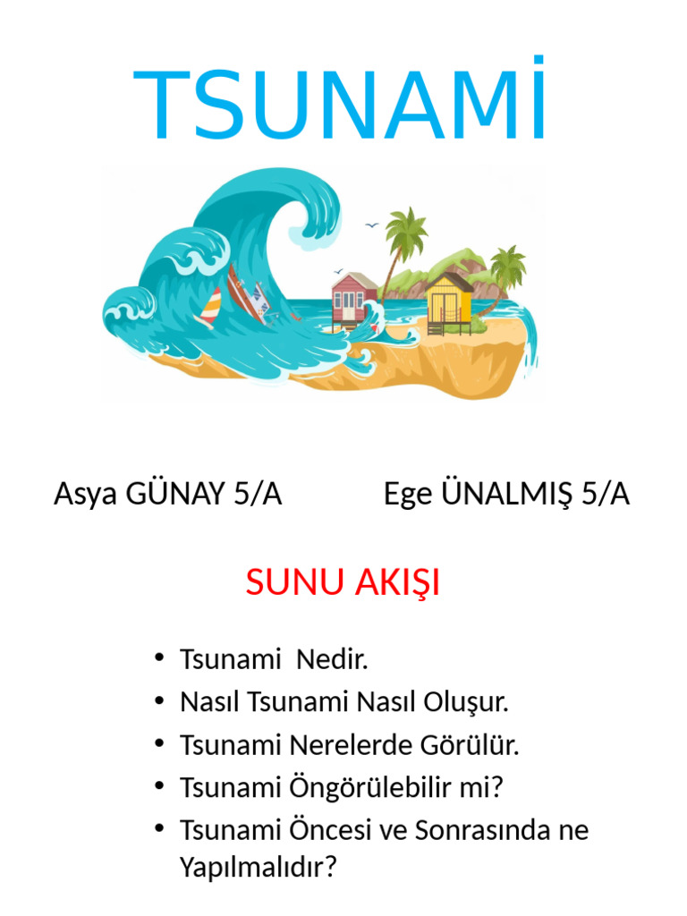 tsunami | PDF