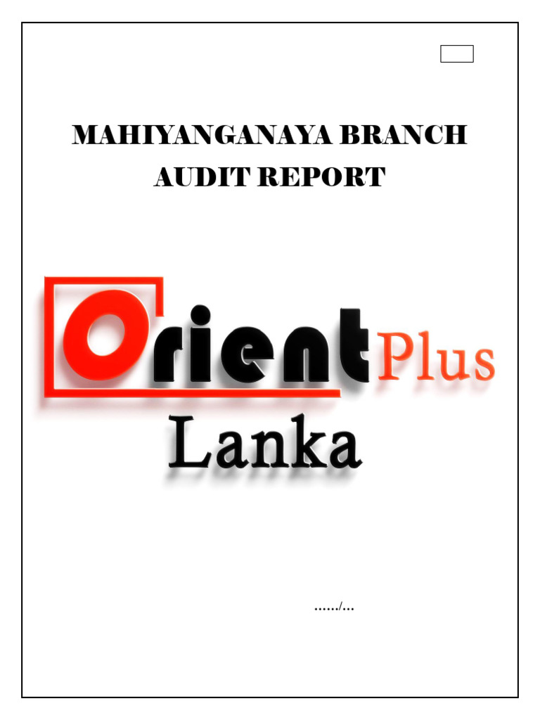 Audit Report Format | PDF