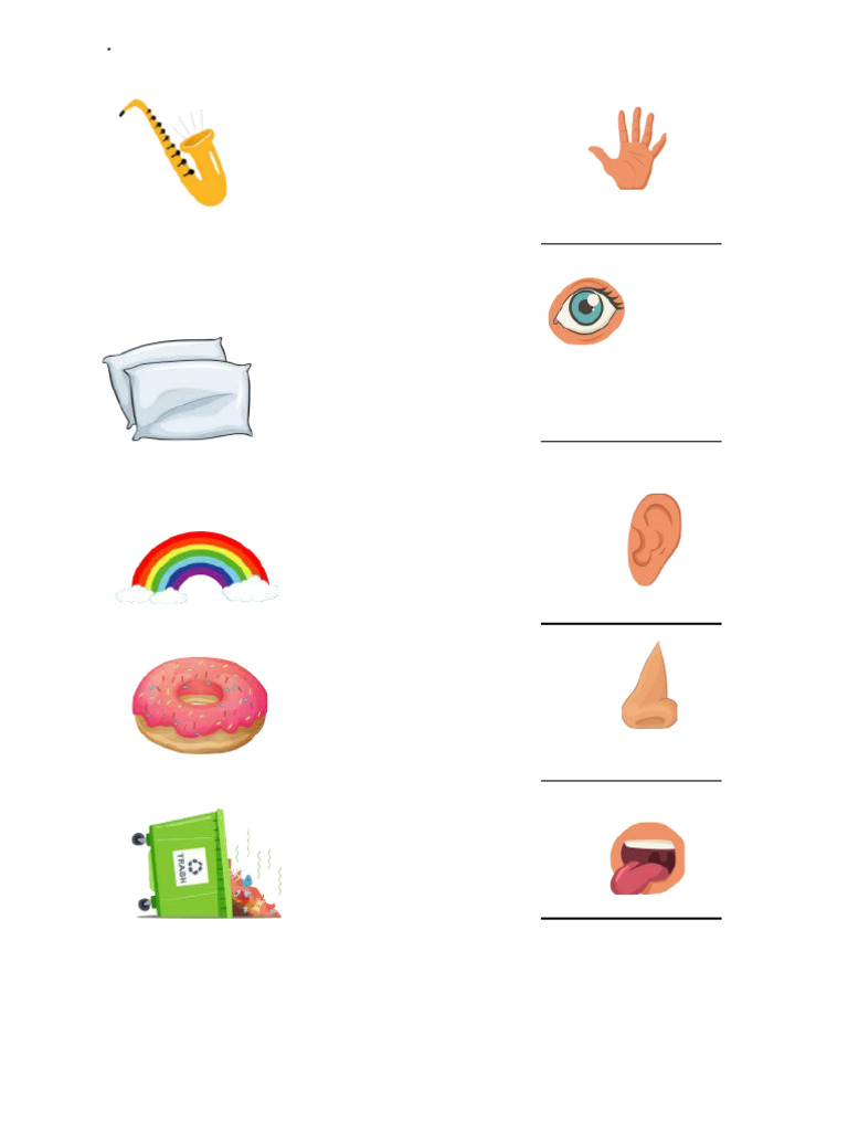 Grade 1 Five Senses B | PDF