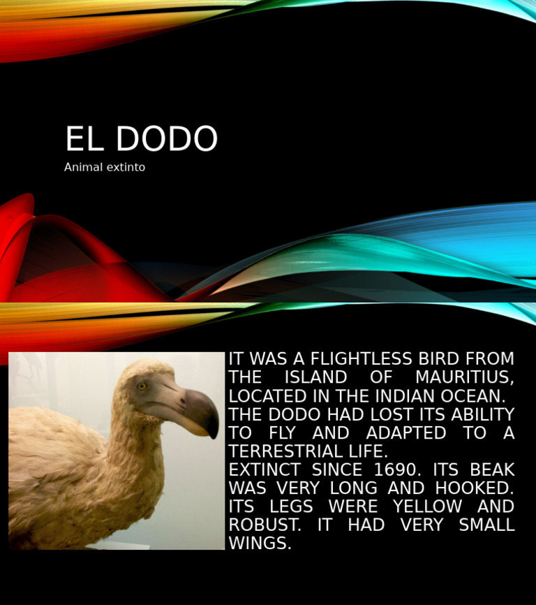 El Dodo ' | PDF