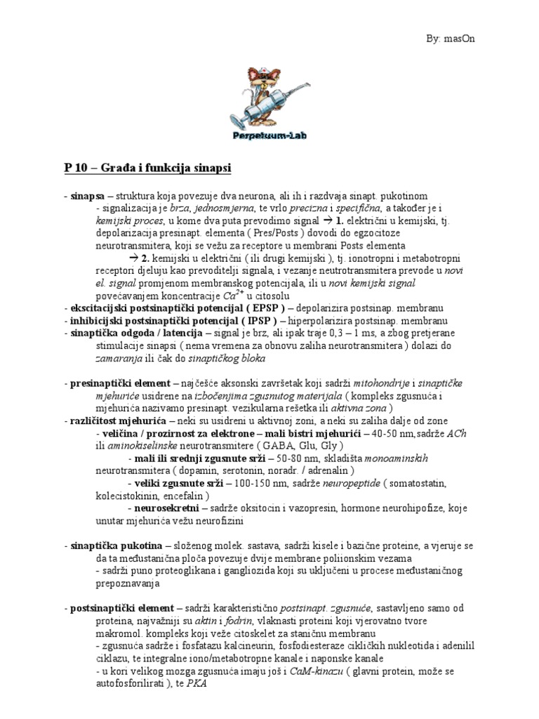 P10 - Gradja Sinapsi | PDF