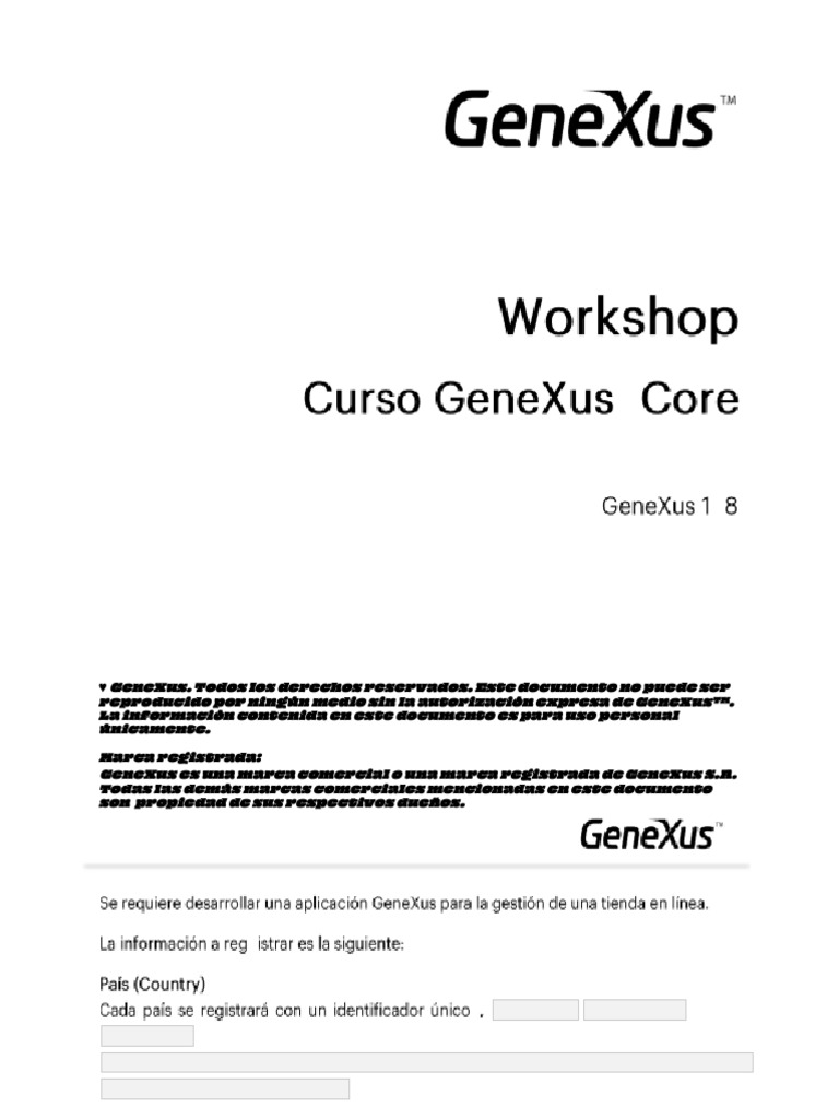 GeneXus 18 | PDF