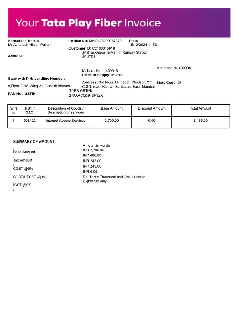Internet Access Invoice - December 2024 | PDF