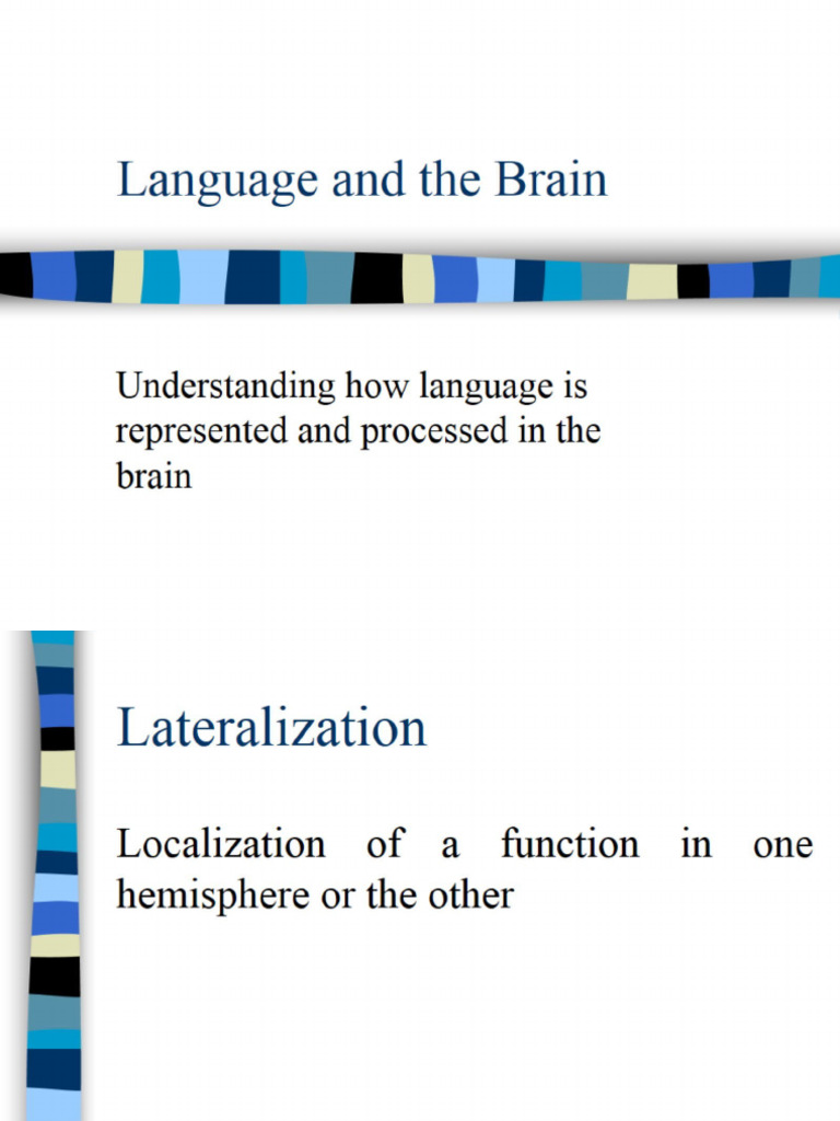 Language and Brain | PDF | Lateralization Of Brain Function | Speech