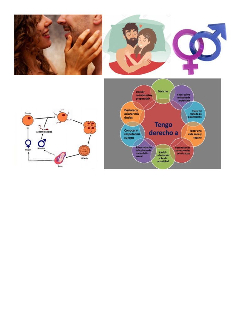 Biolog I Aaaaaaaaaaaa | PDF