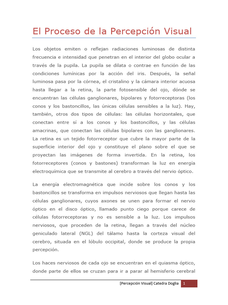 Clase 2 - El Proceso de La Percepción Visual | PDF | Percepción visual ...