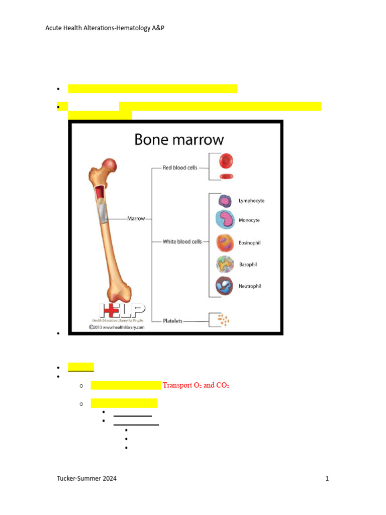 Hematology Overview and Clotting Process | PDF | Coagulation | White ...