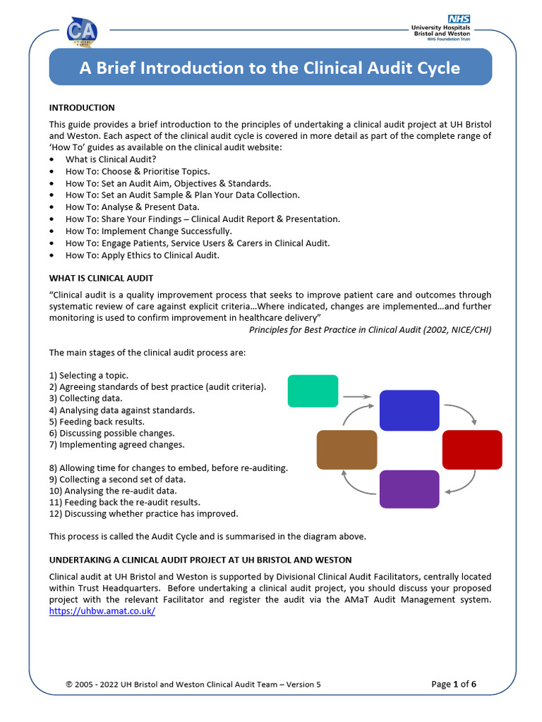 02 Introduction To The Clinical Audit Cycle v5 | PDF | Audit | Social ...