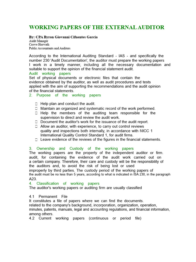 Electronic Audit Working Papers Guide | PDF | Audit | Expense