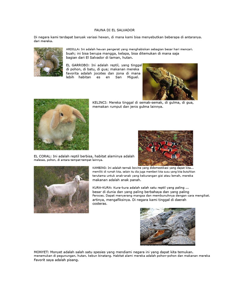 Fauna dan Flora El Salvador | PDF