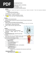 Anatomy of the Glottis and Subglottis | PDF | Larynx | Human Head And Neck