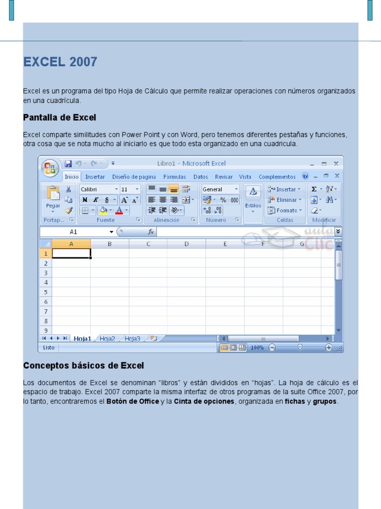 Conceptos Básicos de Excel 2007 | PDF | Hoja de cálculo | Microsoft Excel