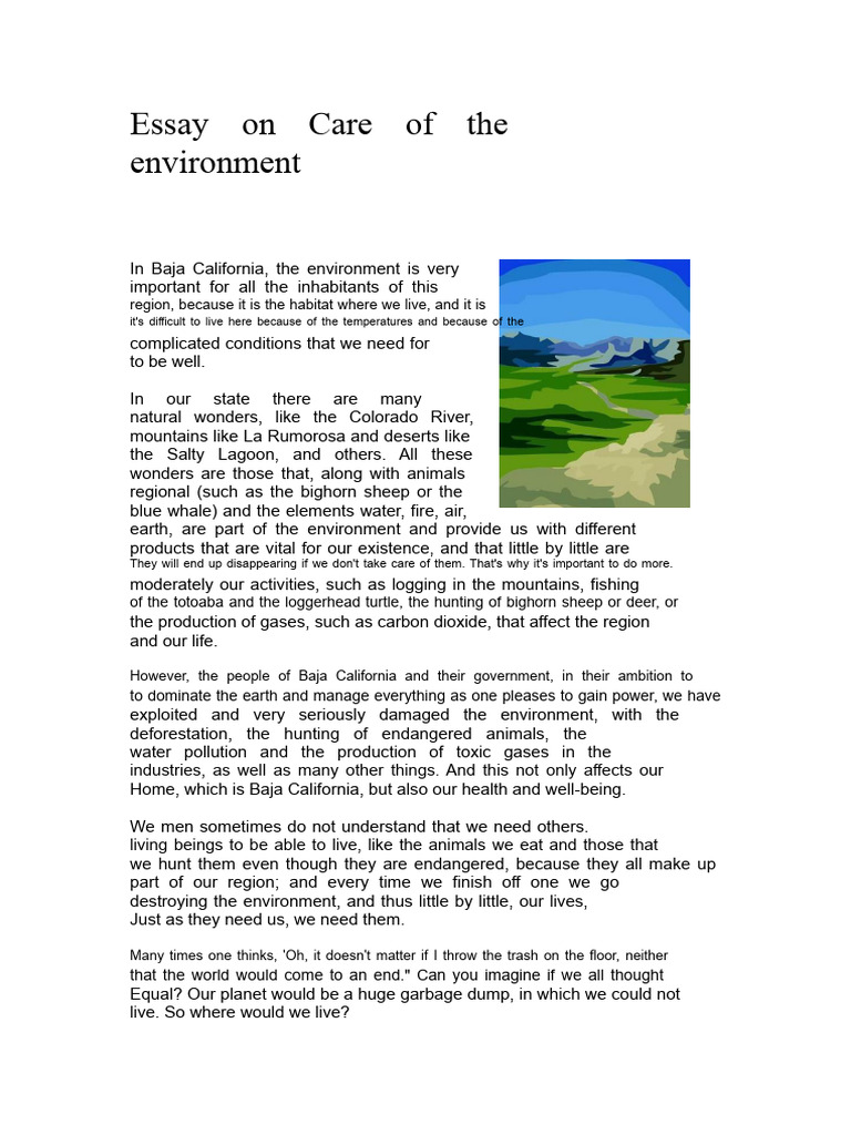 Essay About The Environment | PDF | Natural Environment | Nature