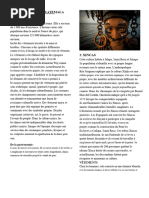 Histoire des Bushinengés en Guyane | PDF