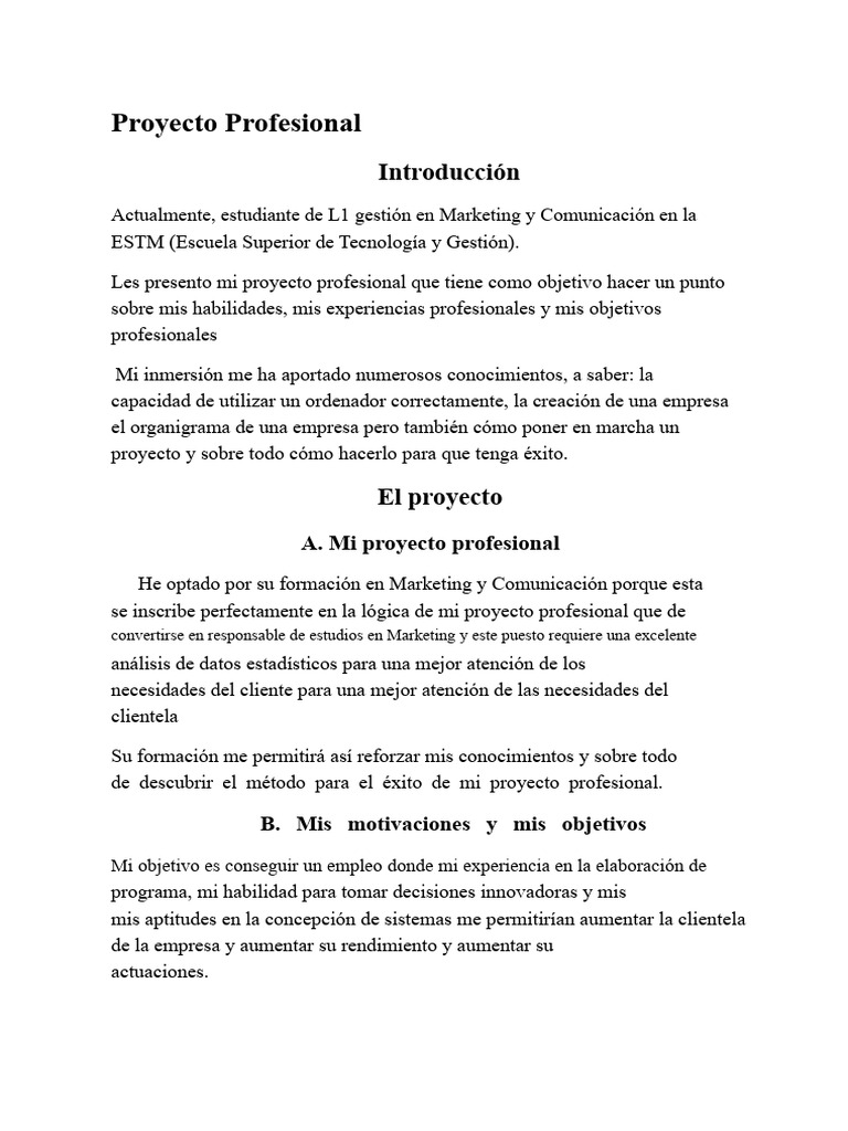 Proyecto Profesional en Marketing y Comunicación | PDF | Marketing