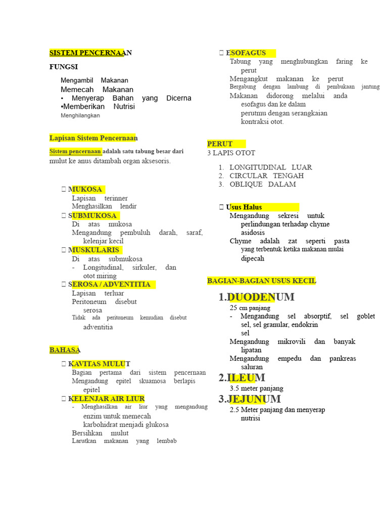 Pentingnya Chyme dalam Pencernaan | PDF