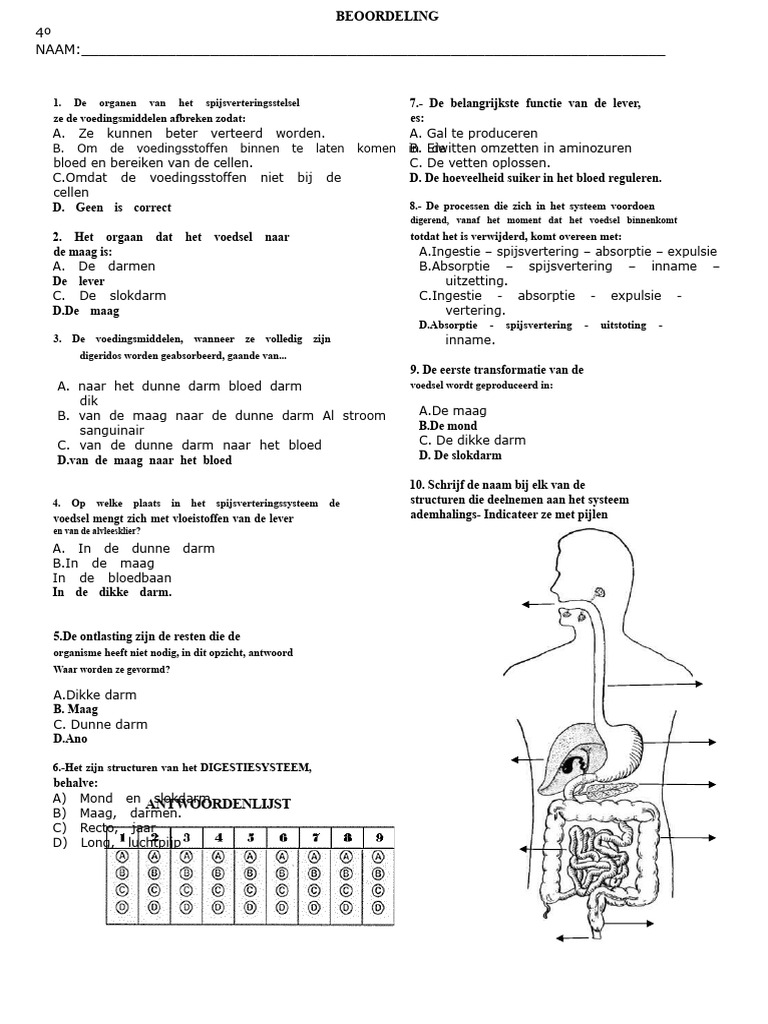 Evaluatie van het spijsverteringsstelsel | PDF