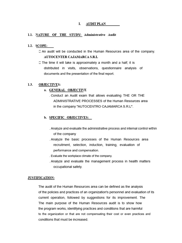 Human Resources Audit Plan Overview | PDF | Audit | Human Resources