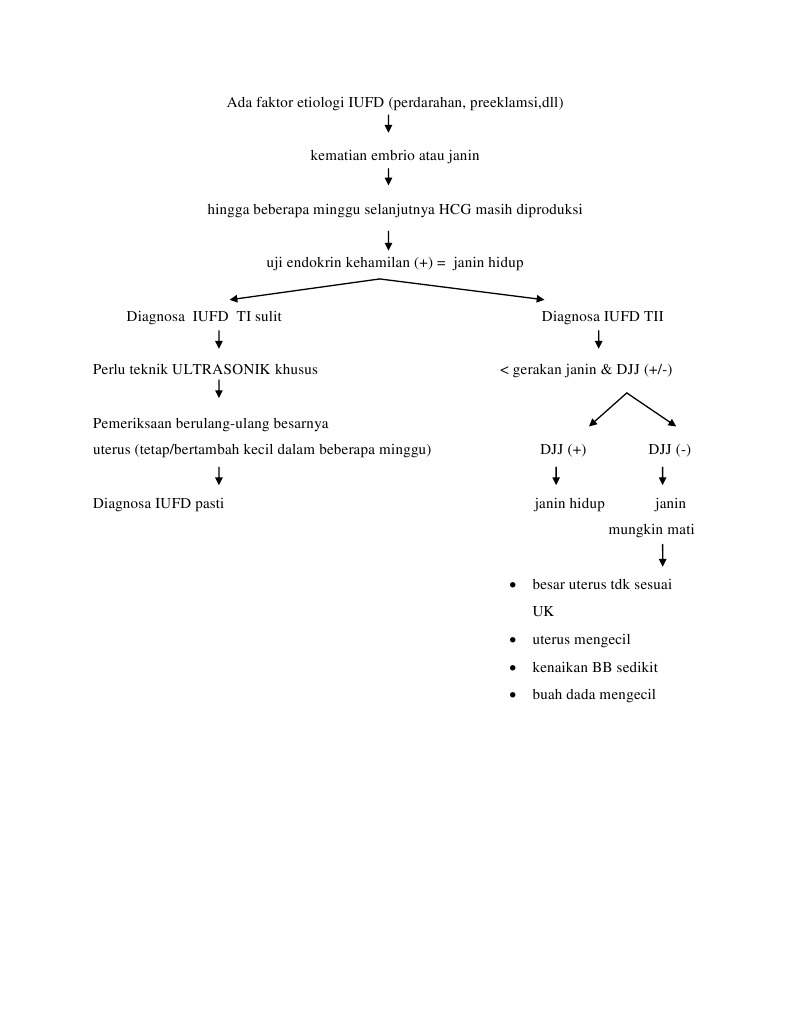 Patofis IUFD | PDF | Sains & Matematika