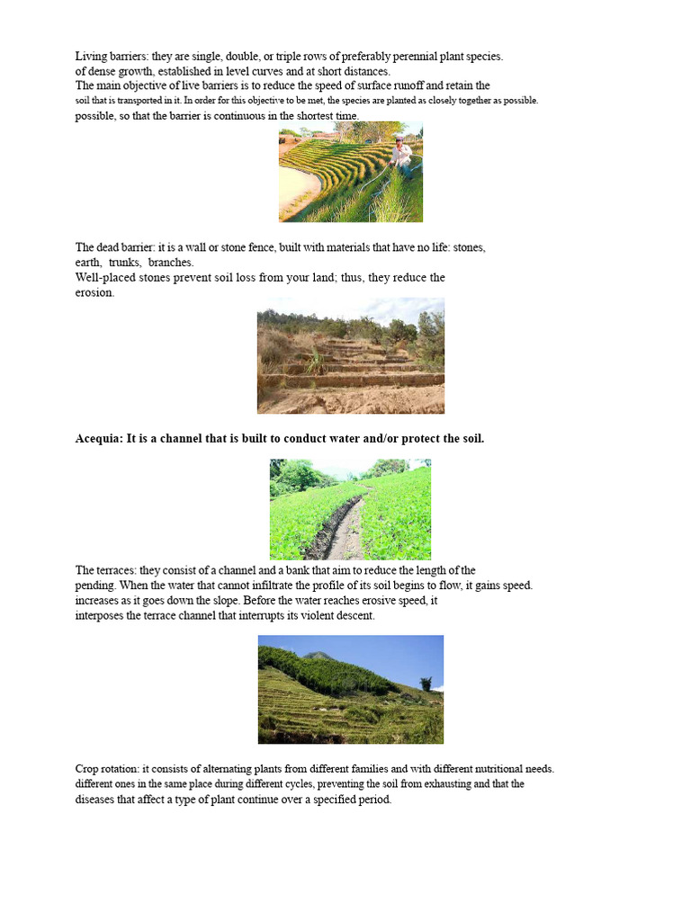 The Living Barriers | PDF